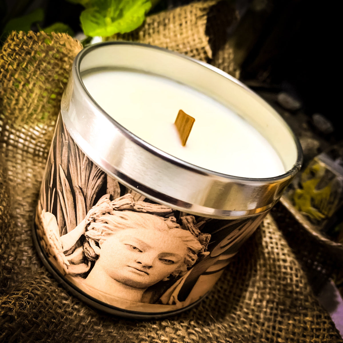 Demeter Candle-Succulent Pear, Quince and Apricot – The Candle Rooms